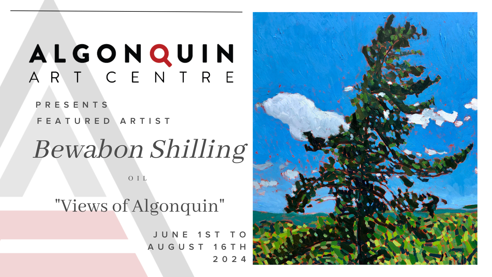 “Views of Algonquin”: The Works of Bewabon Shilling | Algonquin Art ...