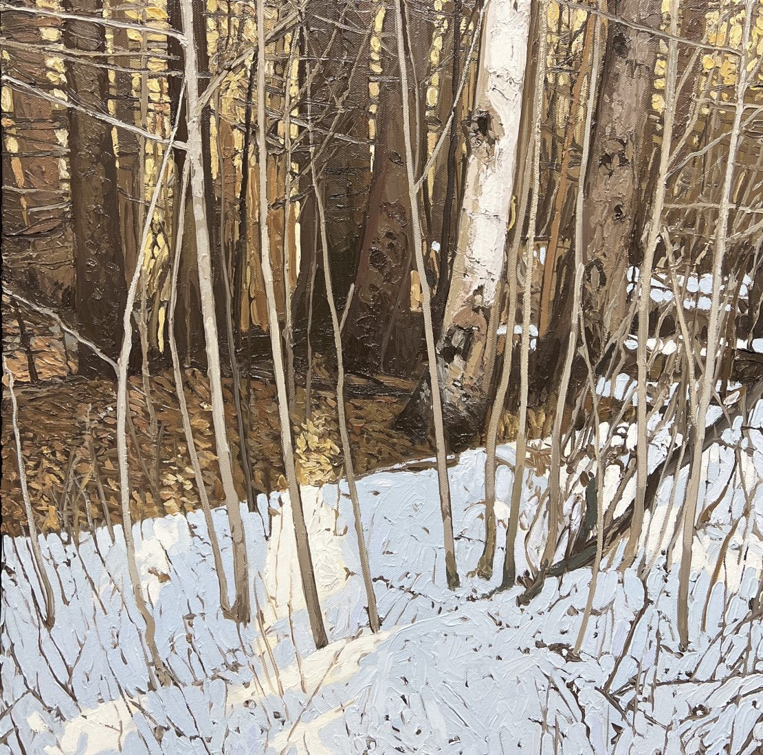 Peter Rotter | Algonquin Art Centre - A Canadian Art Gallery in ...